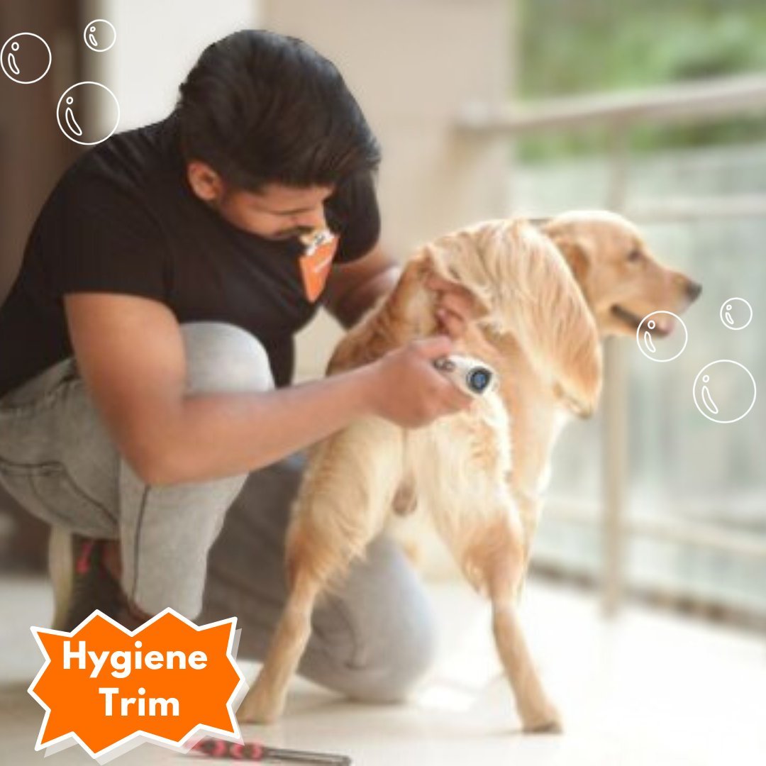 Trim – Sploot